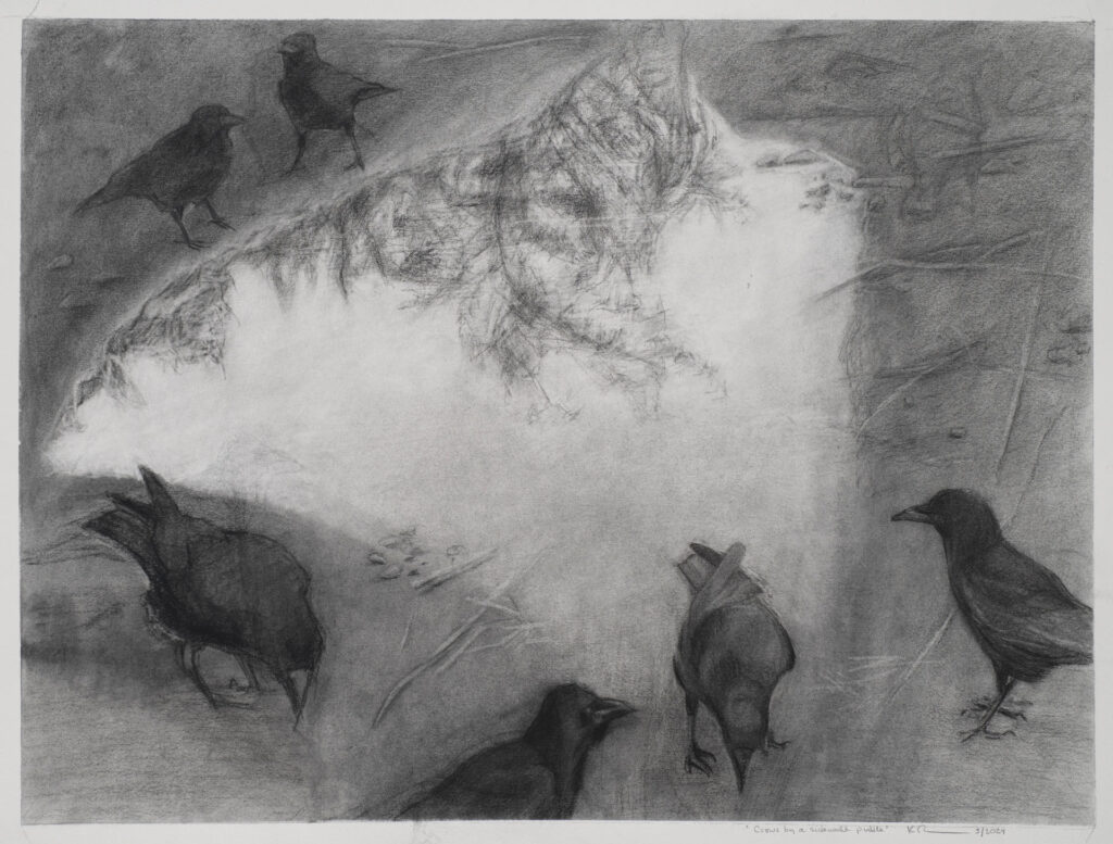 Crows by a Sidewalk Puddle with Tree Reflection - Drawing - Kathy Roseth